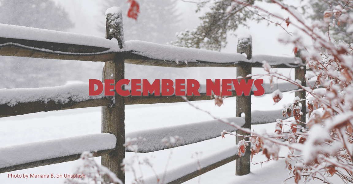 December 2023 Newsletter - Shari T. Mitchell